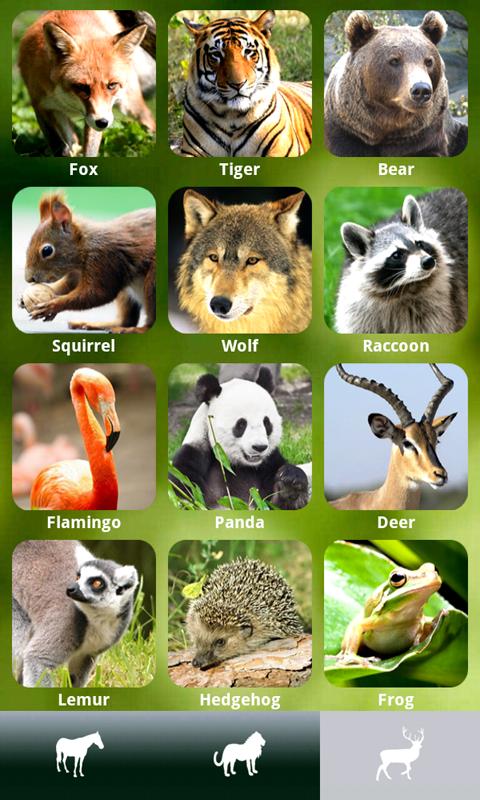 ZOOLA Animals - FREE - Android Apps on Google Play