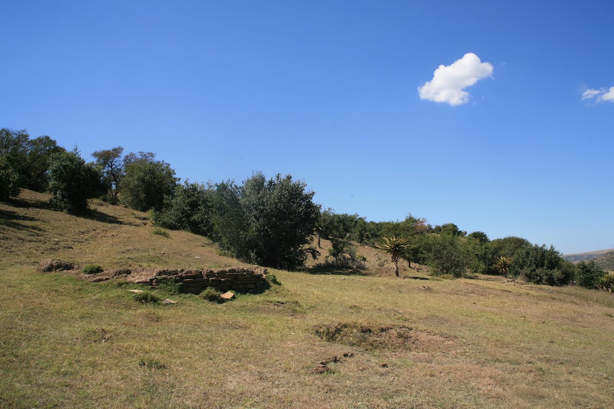 Mvezo — Google Arts & Culture