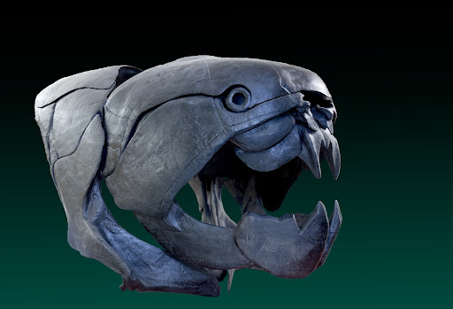 Armored Fish — Google Arts & Culture