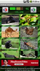 Animal Sounds (Free) – Explore a variety of animal calls with this ...