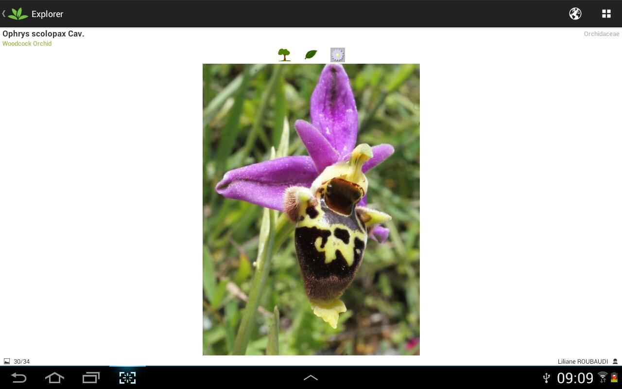 PlantNet Plant Identification Android Apps On Google Play