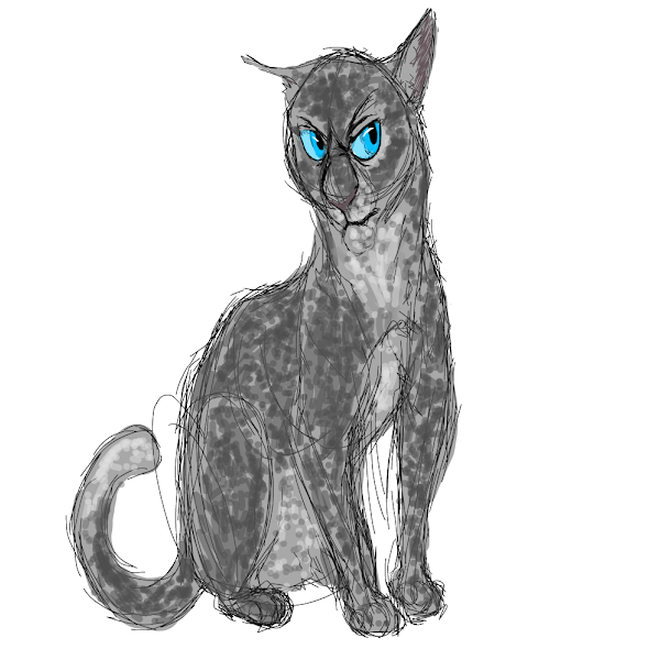 Ashfur » drawings » SketchPort