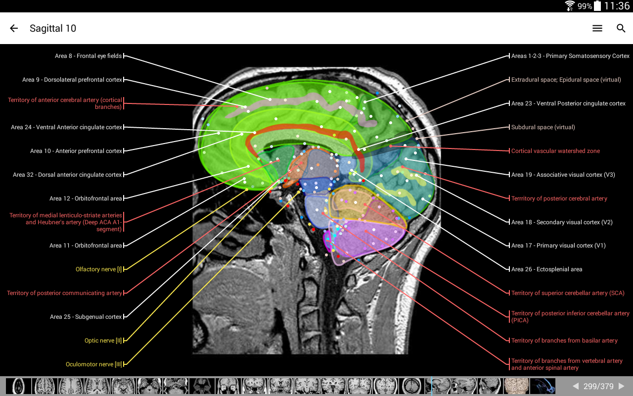 e-Anatomy - Android Apps on Google Play