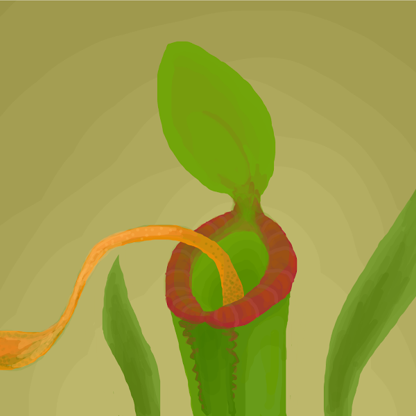 Return Of The Triffids » drawings » SketchPort