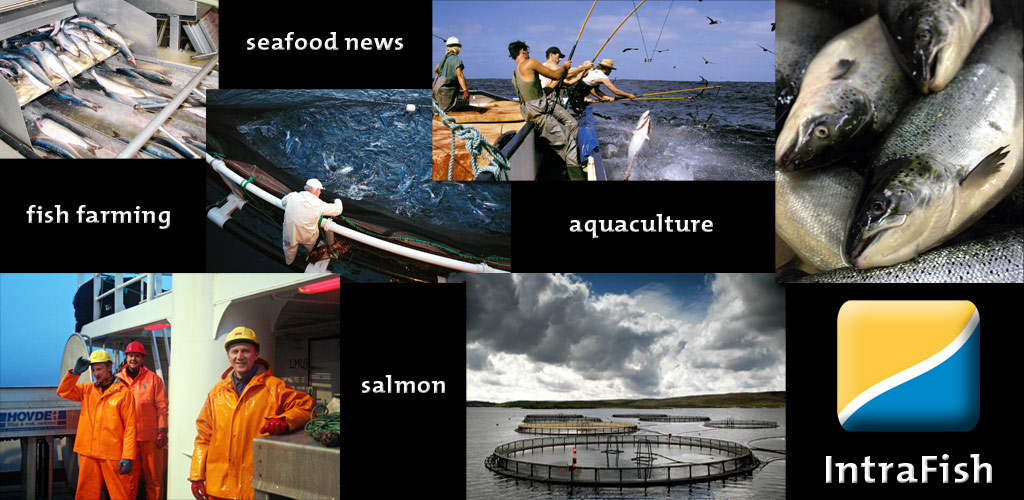 intra fish - Latest version 1.2 for Android App News & magazines